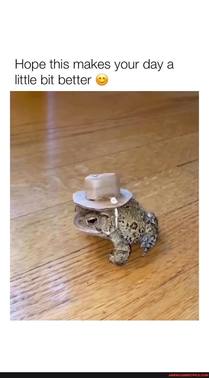 It’s Rodeo time 😄 @meme.ig #reels #memes #explore (Via: @sergioturtle ...