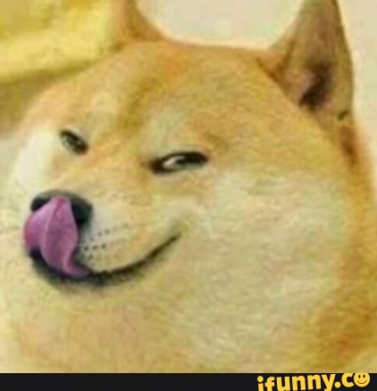 Doge reaction image - iFunny