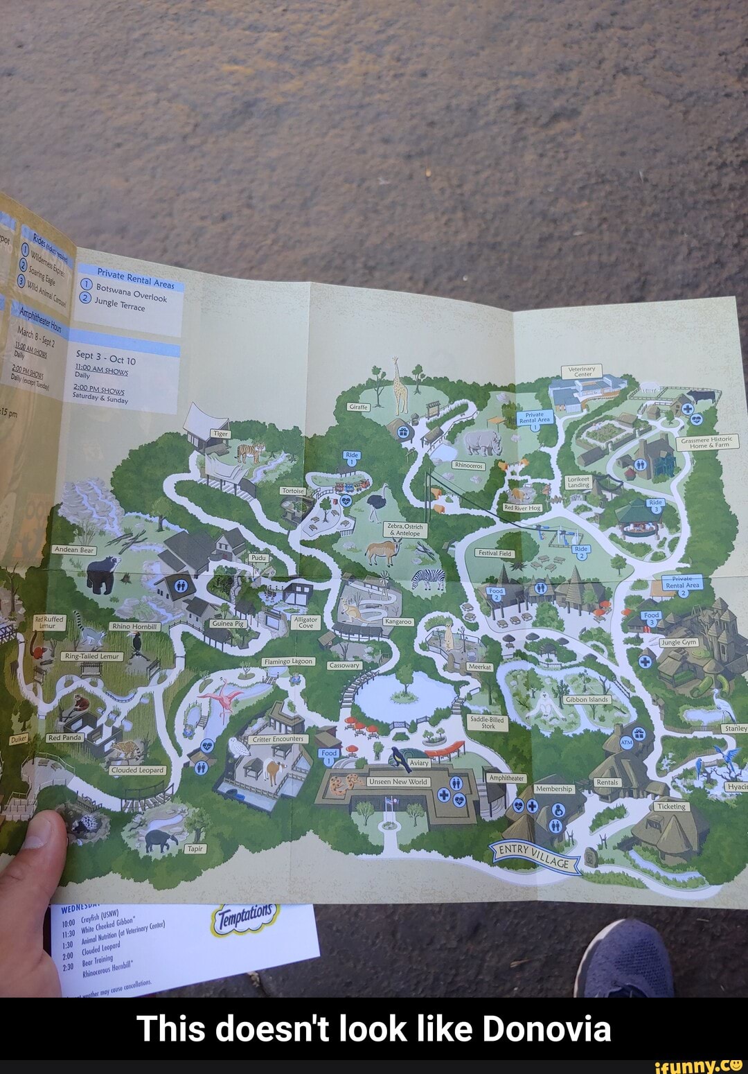 Bolc memes. Best Collection of funny Bolc pictures on iFunny