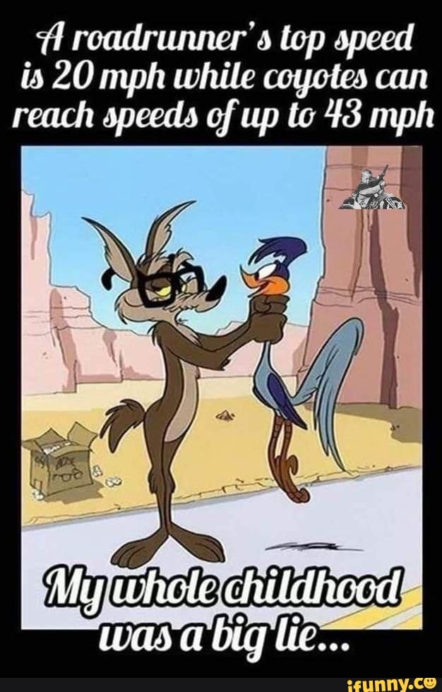 Ff readrunner's top speed is 20 mph while coyotes can reach speeds of ...