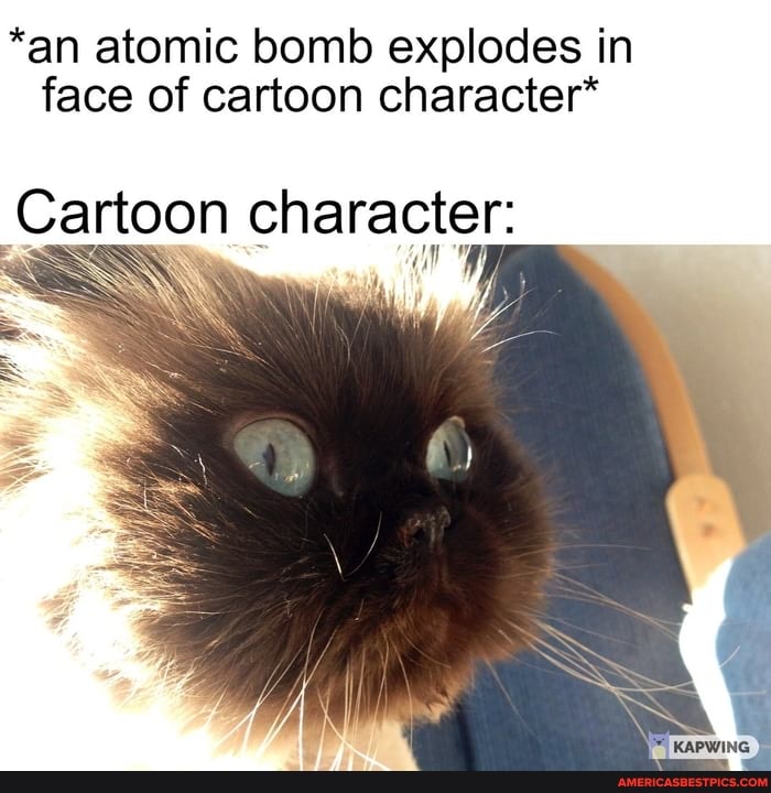 *an atomic bomb explodes in face of cartoon character* Cartoon ...