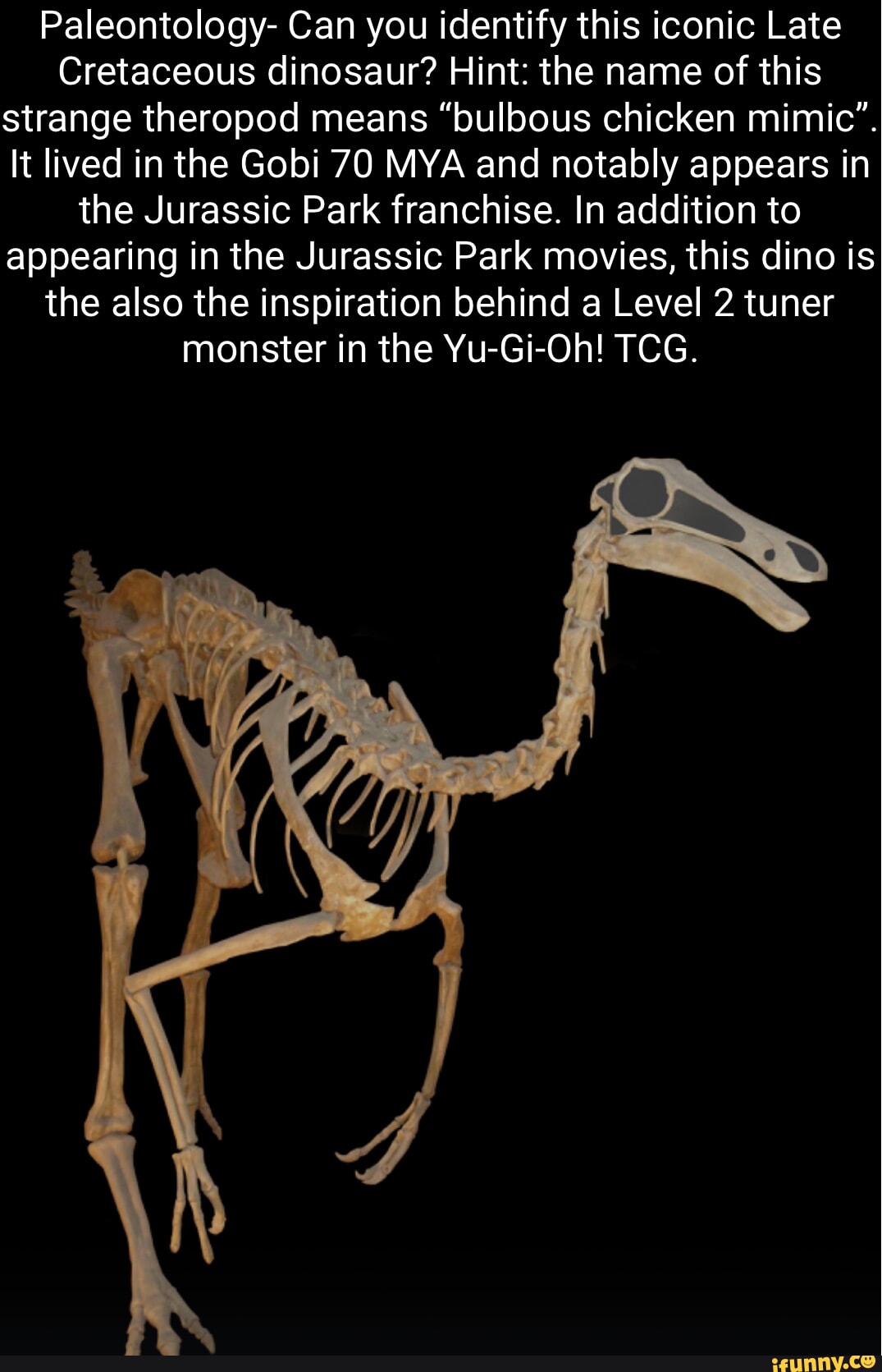 Paleontology- Can you identify this iconic Late Cretaceous dinosaur ...