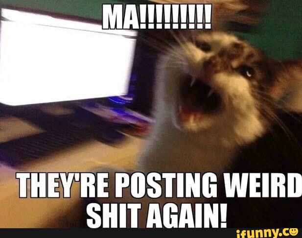 Againi memes. Best Collection of funny Againi pictures on iFunny