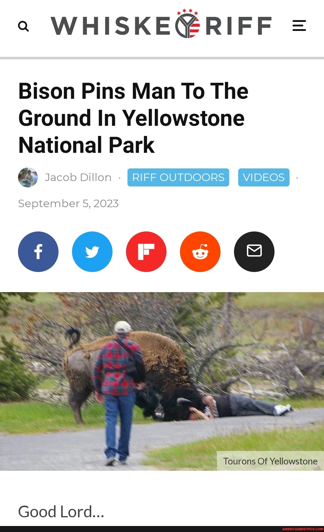 WHISKEGRIFF = Bison Pins Man To The Ground In Yellowstone National Park ...