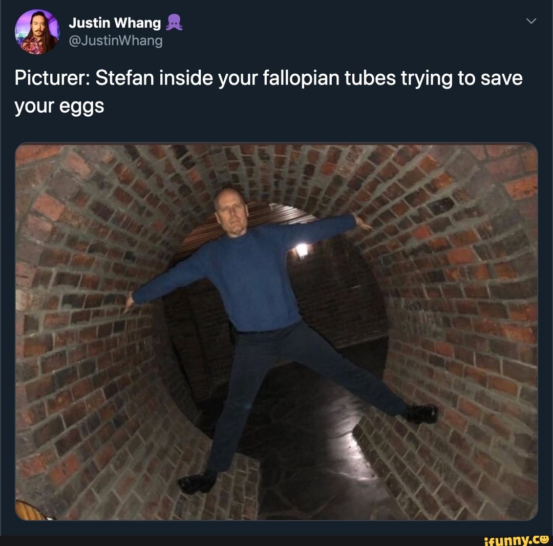 Picturer: Stefan inside your fallopian tubes trying to save your eggs ...