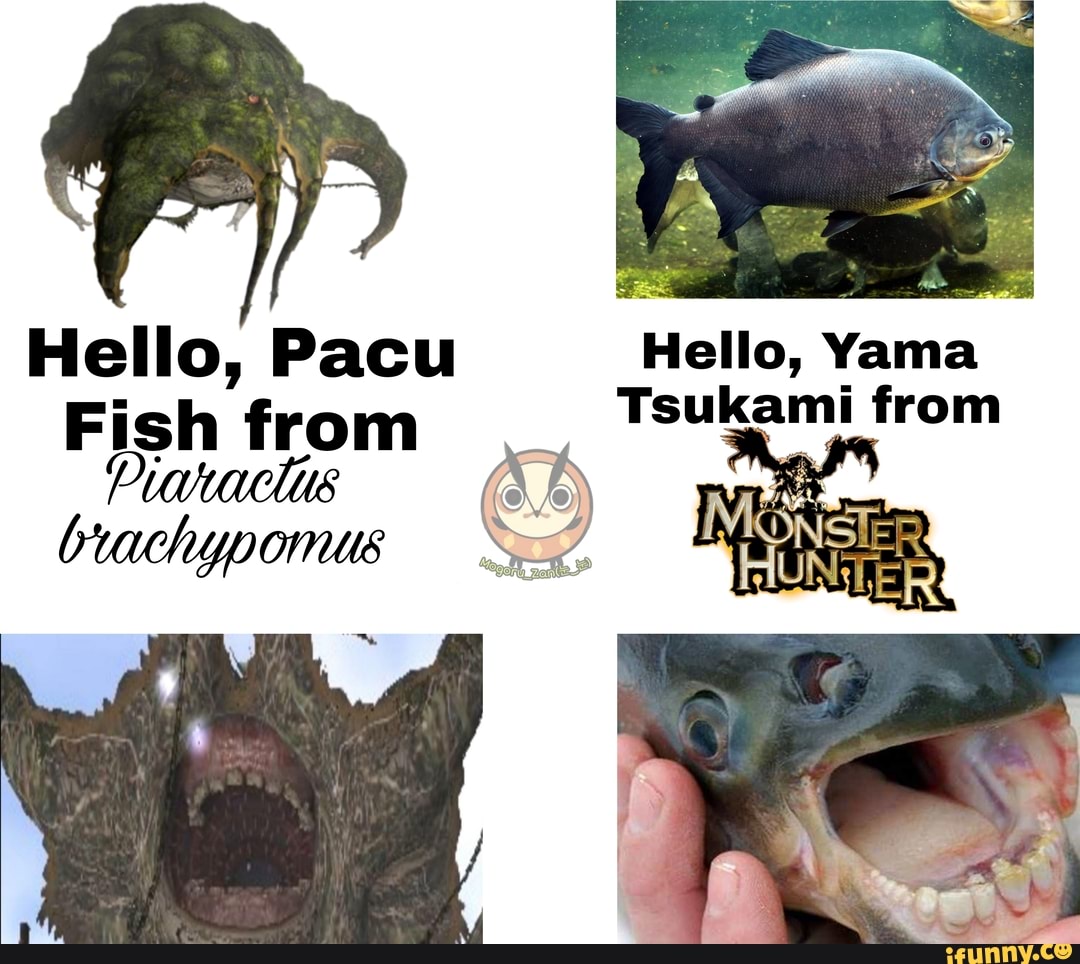 Tsukami memes. Best Collection of funny Tsukami pictures on iFunny