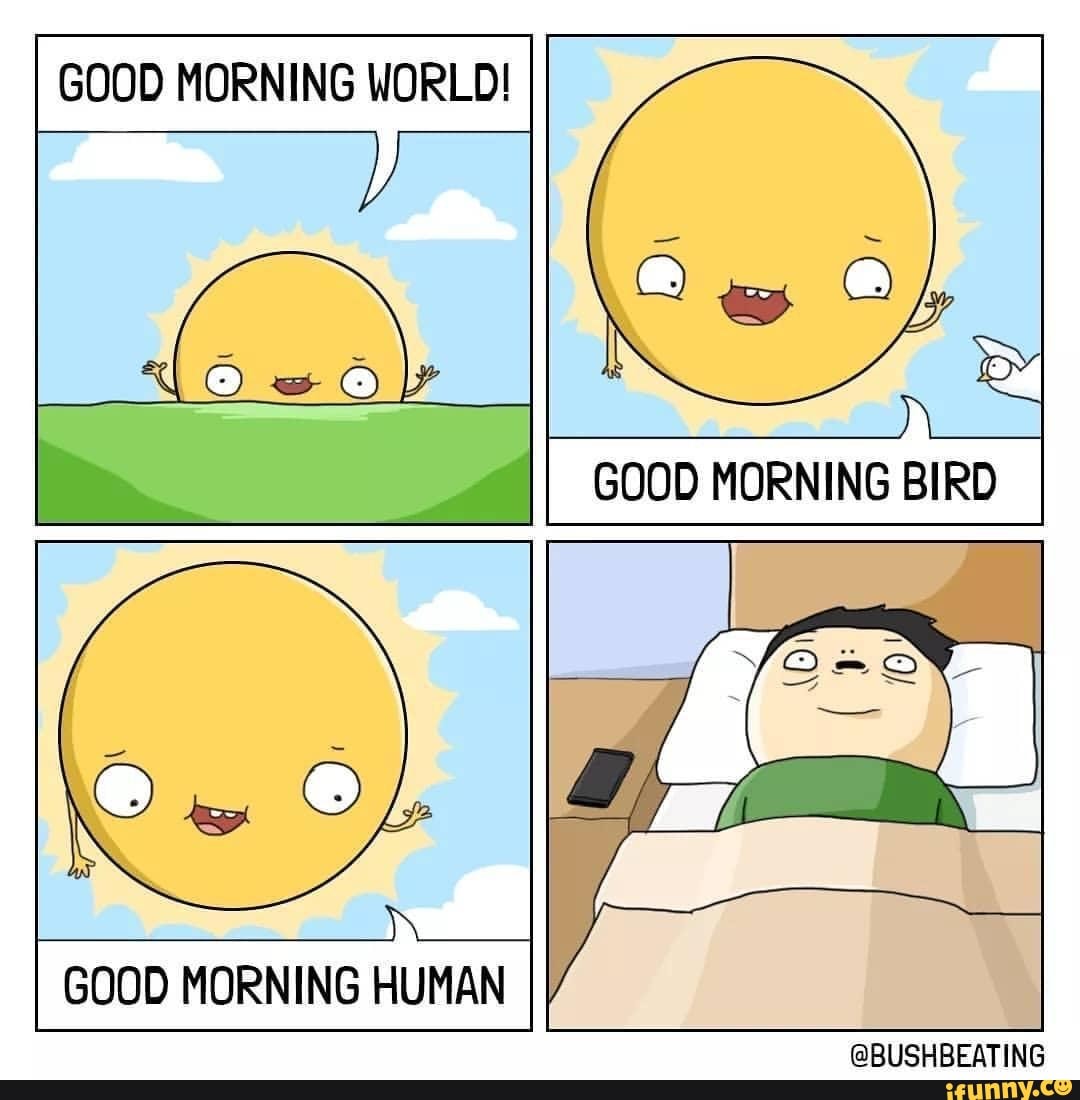GOOD MORNING WORLD! GOOD MORNING HUMAN GOOD MORNING BIRD @BUSHBEATING ...
