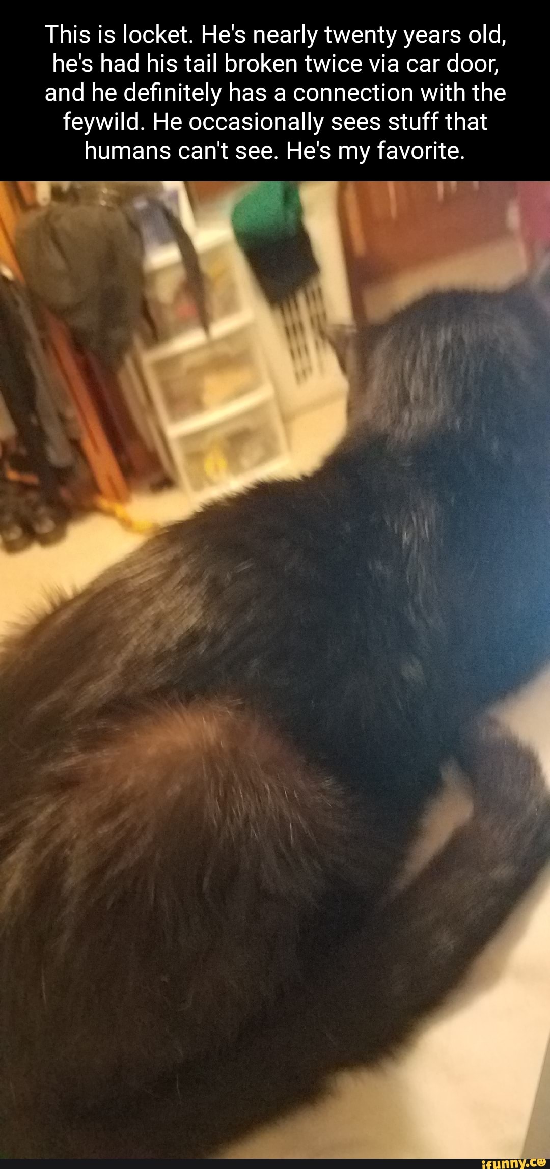 Locket memes. Best Collection of funny Locket pictures on iFunny