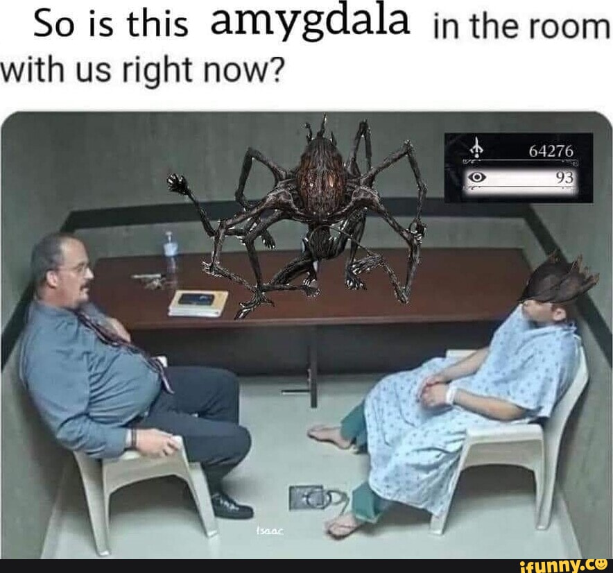 Amygdala memes. Best Collection of funny Amygdala pictures on iFunny
