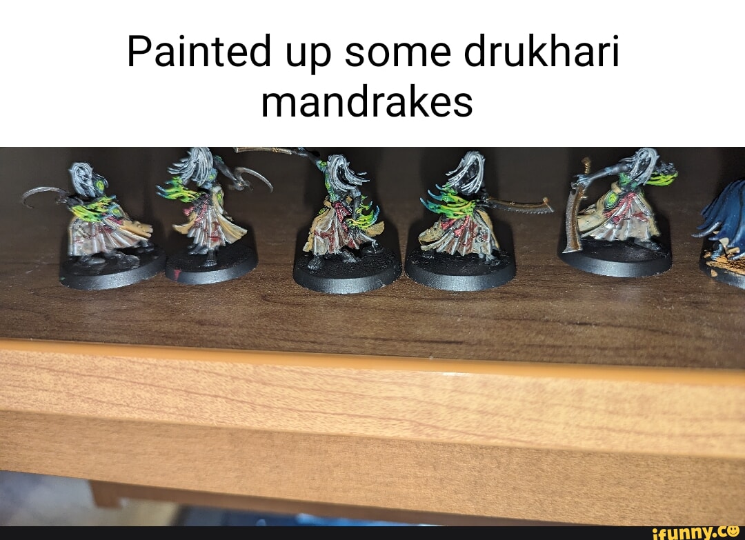 Drukhari memes. Best Collection of funny Drukhari pictures on iFunny