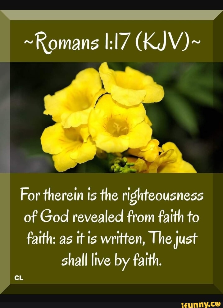 ~Romans (KJV) ~ For therein is the righteousness of God revealed from ...