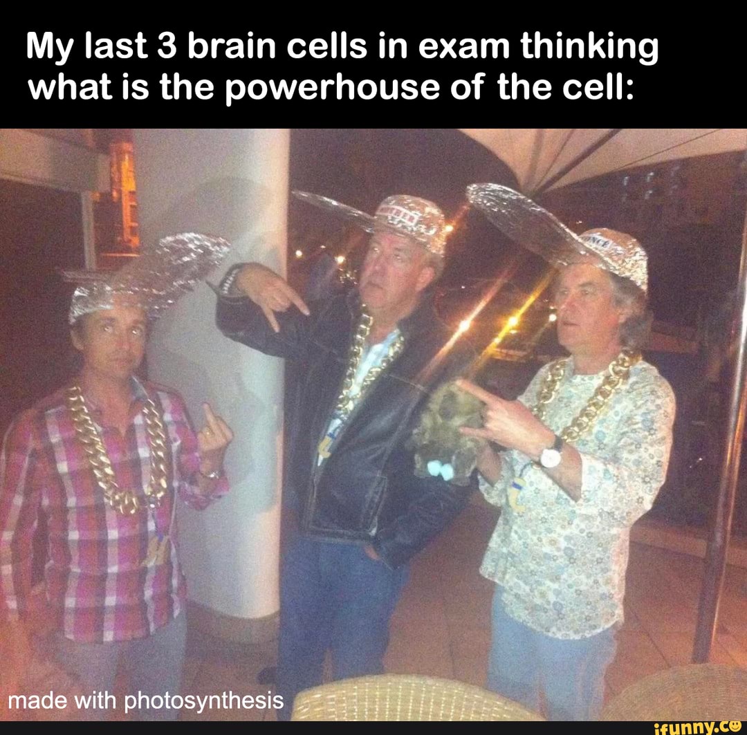 My last brain cells in exam thinking what is the powerhouse of the cell ...