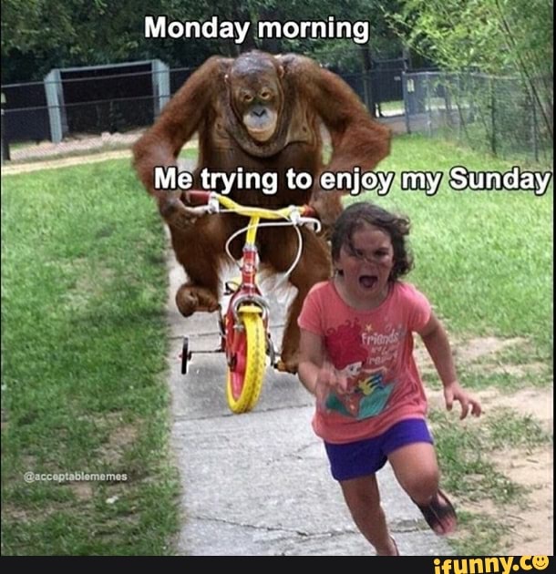 Smonday memes. Best Collection of funny Smonday pictures on iFunny