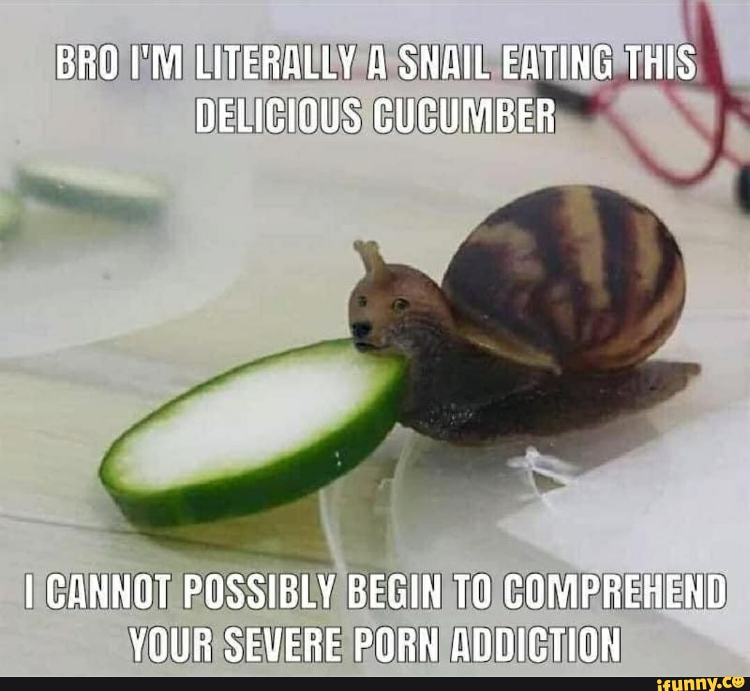 BRO I'M LITERALLY SNAIL EATING THIS DELICIOUS CUCUMBER I CANNOT ...