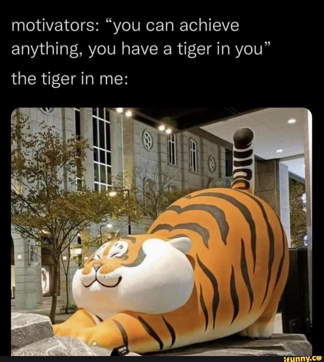 Motivators: "you can achieve anything, you have a tiger in you" the ...
