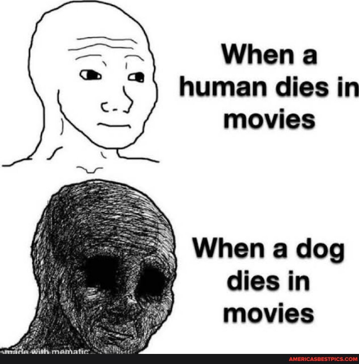 When a human dies in movies When a dog dies in movies - America’s best ...