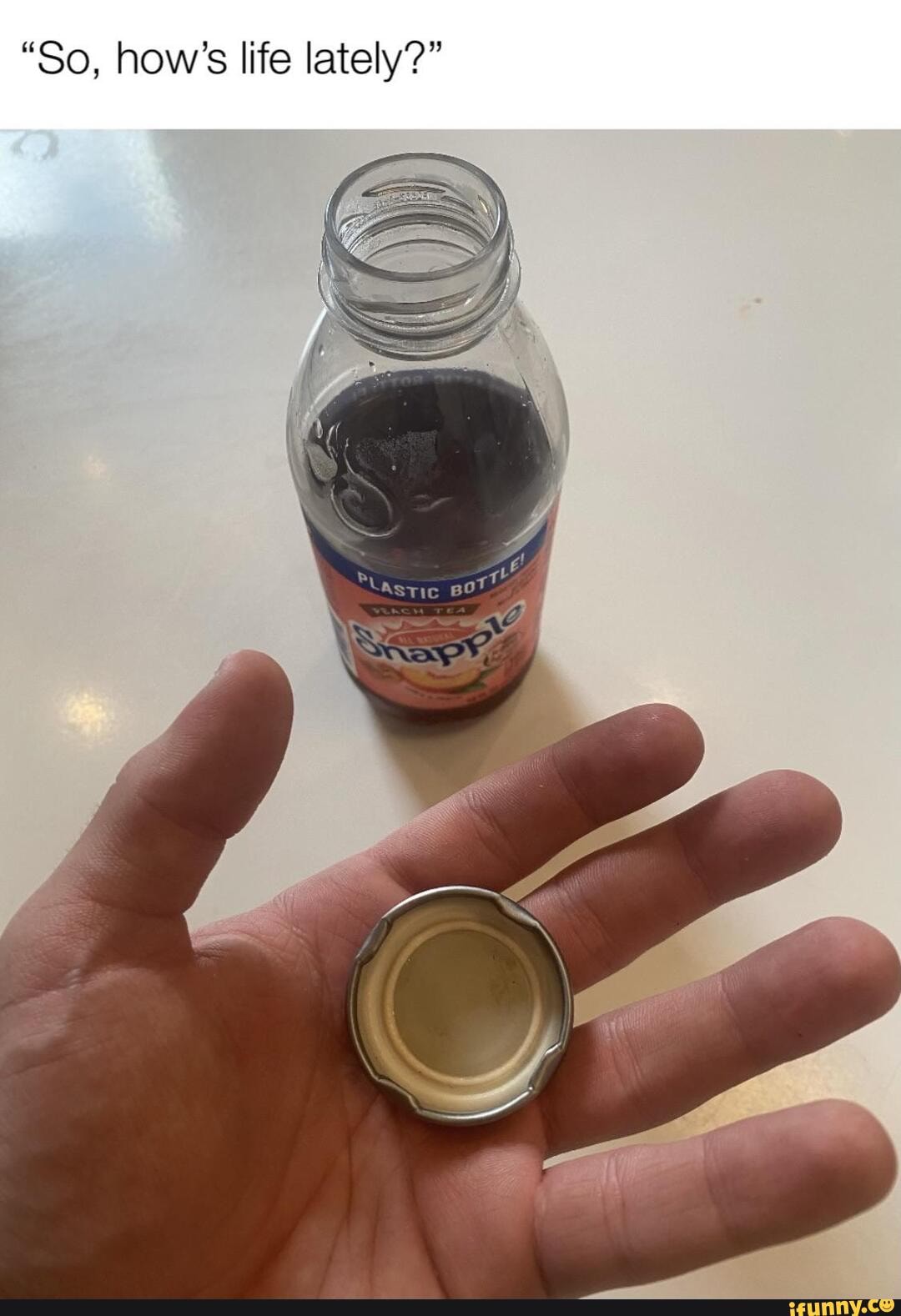 "So, how's life lately?" - iFunny