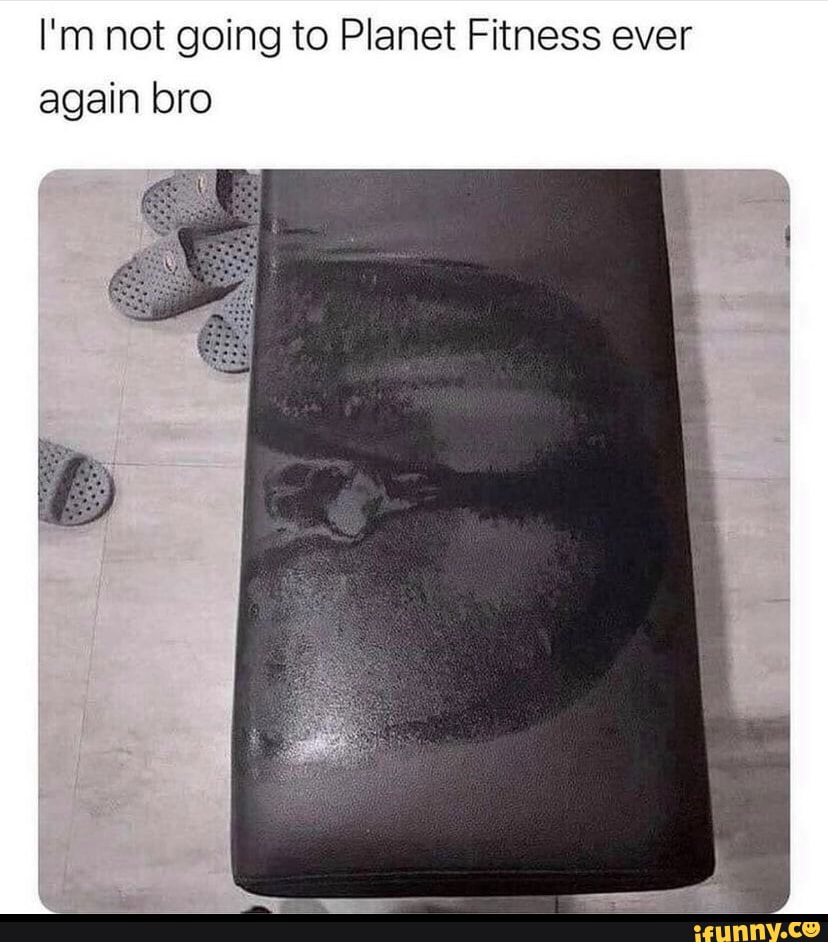 Swamp_ass memes. Best Collection of funny Swamp_ass pictures on iFunny