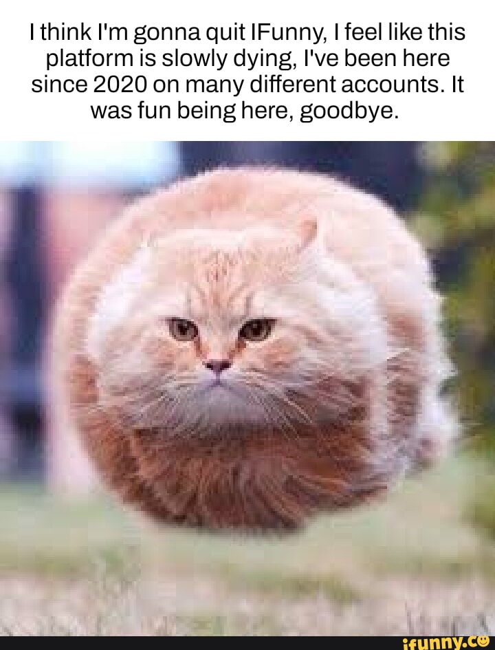 Dying memes. Best Collection of funny Dying pictures on iFunny