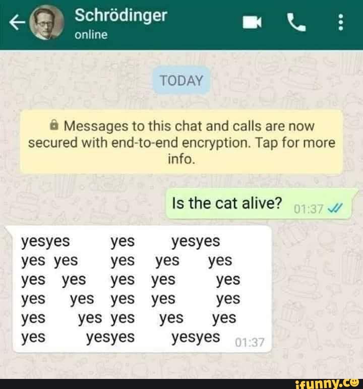 Schrodinger online TODAY Messages to this chat and calls are now ...