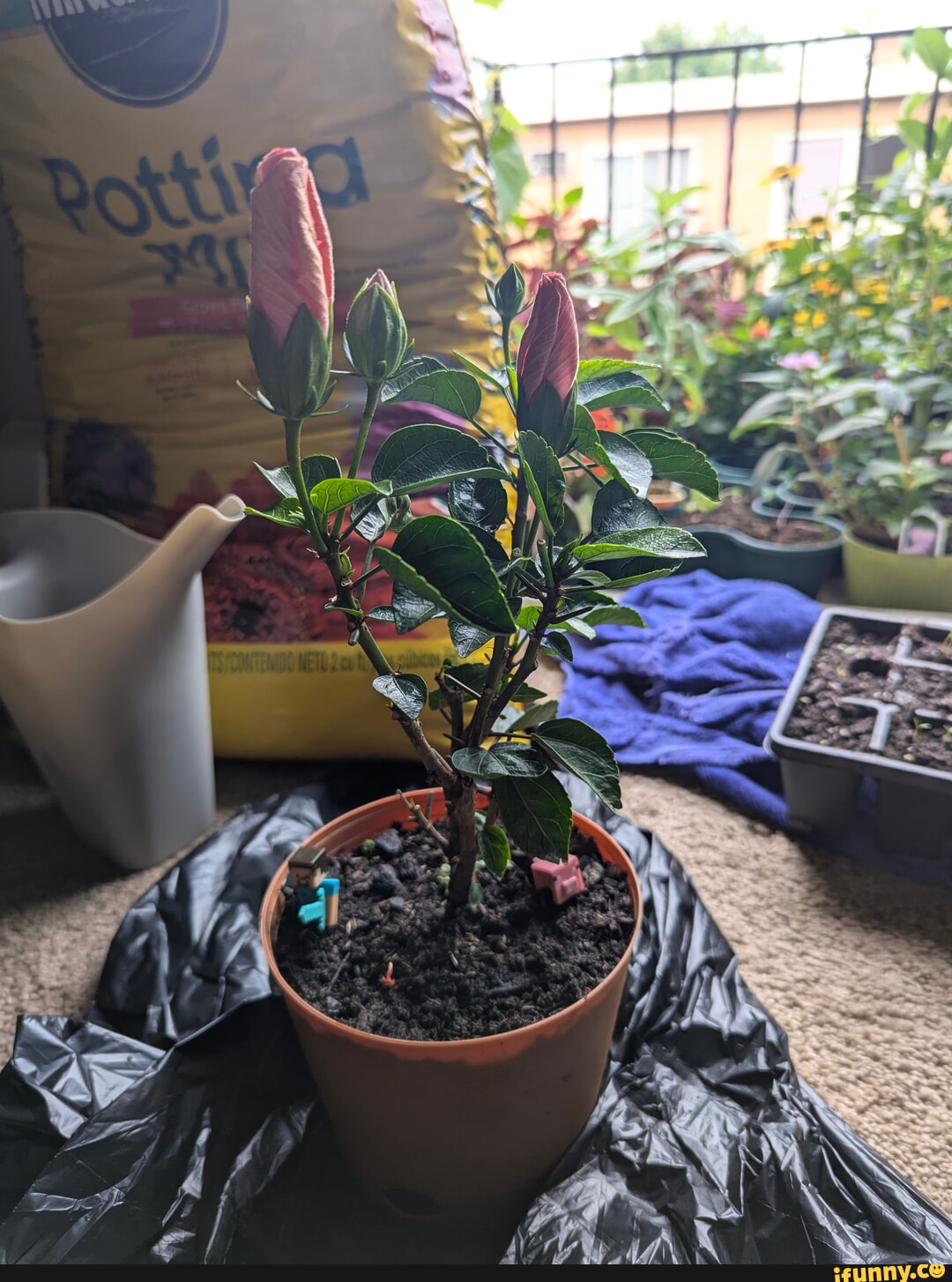 Doki doki literature club memes memes. The best memes on iFunny