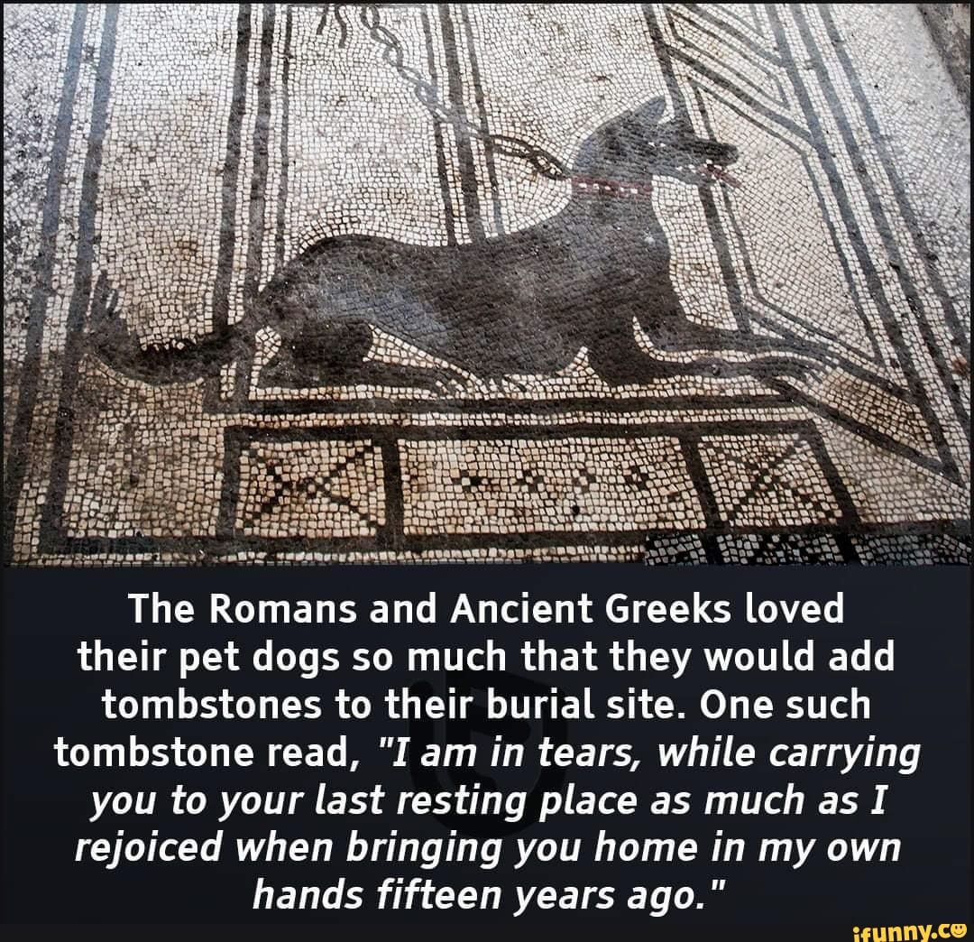 The Romans and Ancient Greeks loved their pet dogs so much that they ...