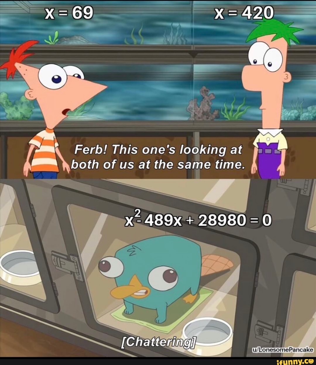 Ferb! This one's looking at both of us at the same time. a - iFunny