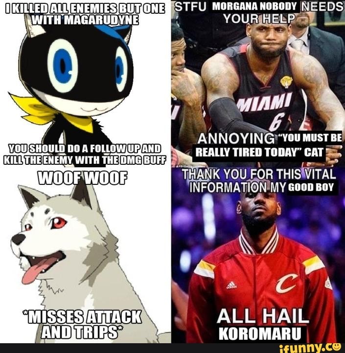 Koromaru memes. Best Collection of funny Koromaru pictures on iFunny