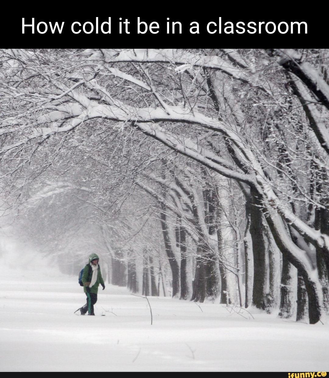How cold it be in a classroom - iFunny