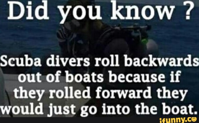 Did you know ? Scuba divers roll backwards out of boats because if they ...