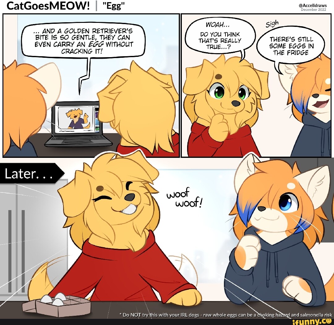 Catgoesmeow memes. Best Collection of funny Catgoesmeow pictures on iFunny