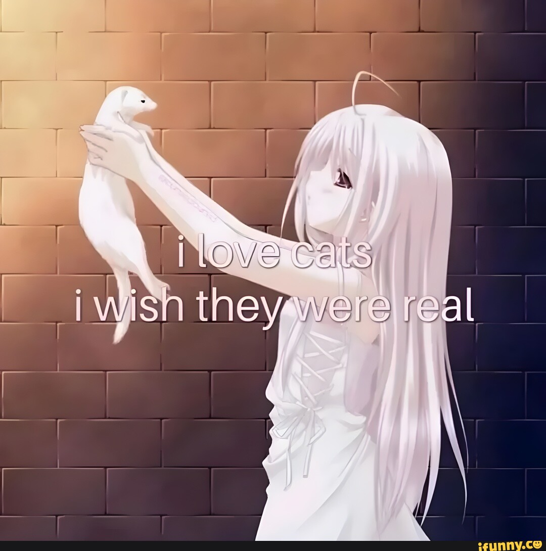 Me trying to reach the minimum word count on my essay Ariana Grandenis ...