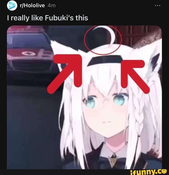 Shirakami_fubuki memes. Best Collection of funny Shirakami_fubuki ...