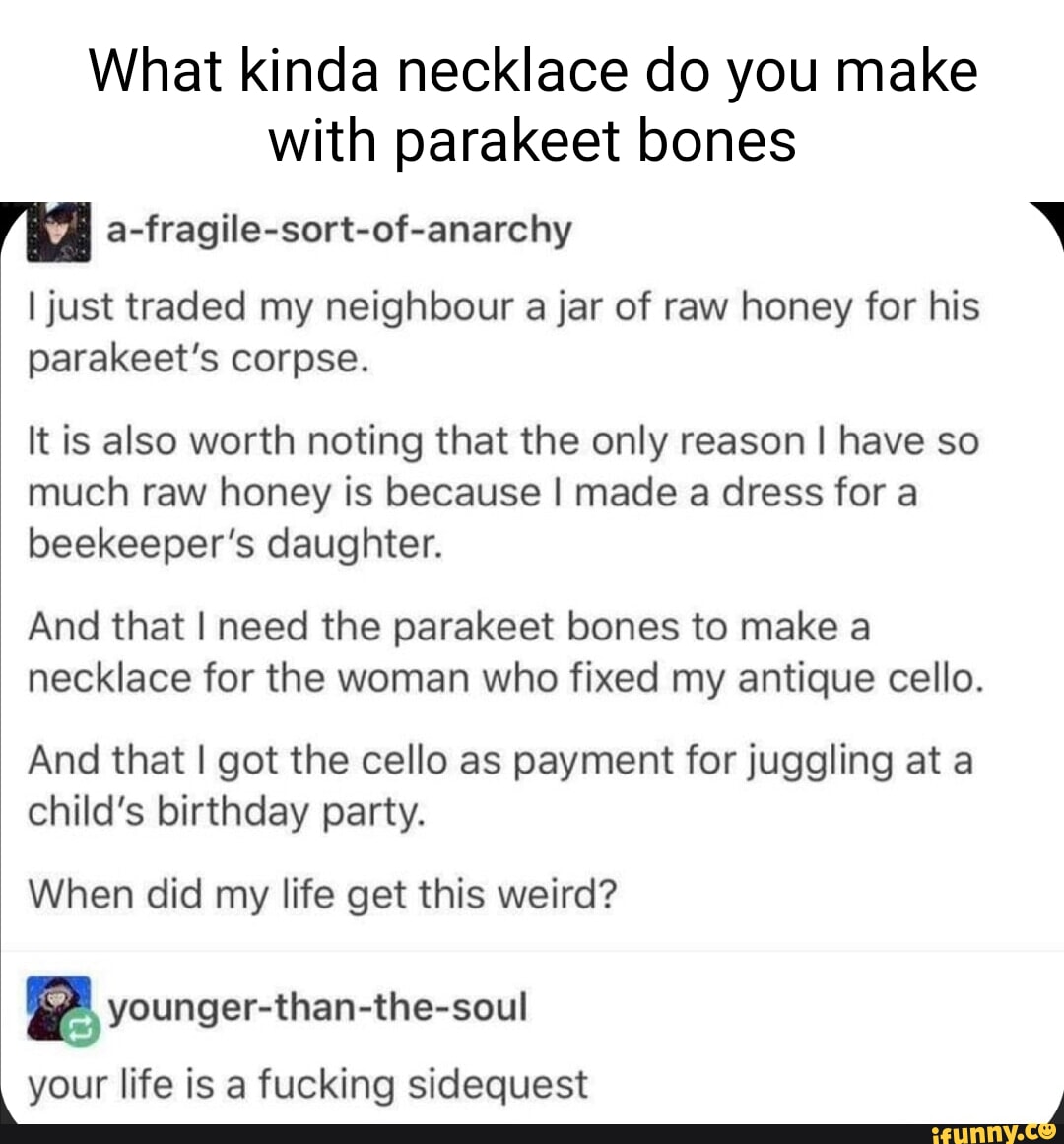 Parakeets memes. Best Collection of funny Parakeets pictures on iFunny