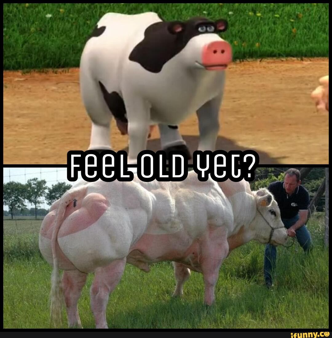 Mrrr memes. Best Collection of funny Mrrr pictures on iFunny