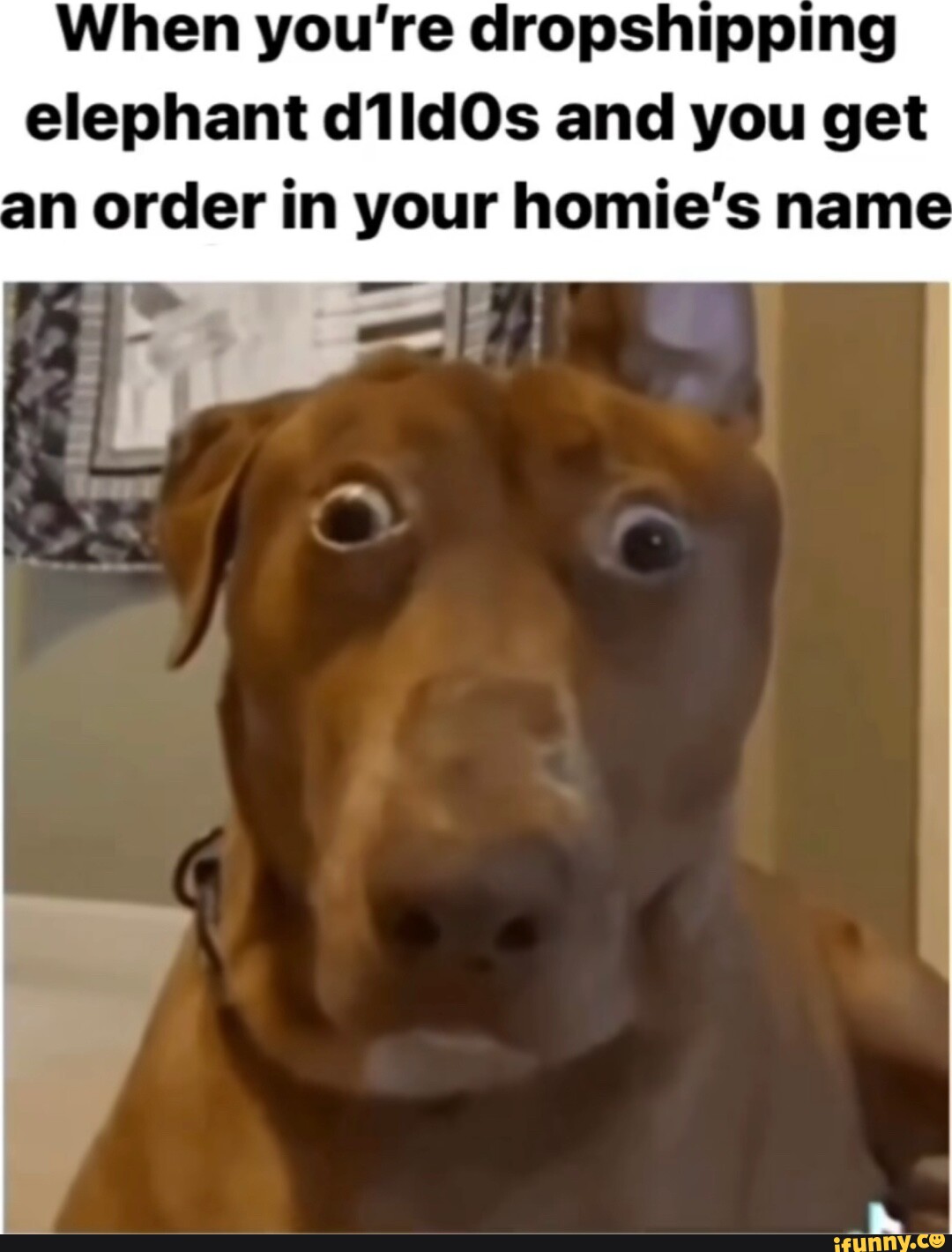 Dropshipping memes. Best Collection of funny Dropshipping pictures on ...