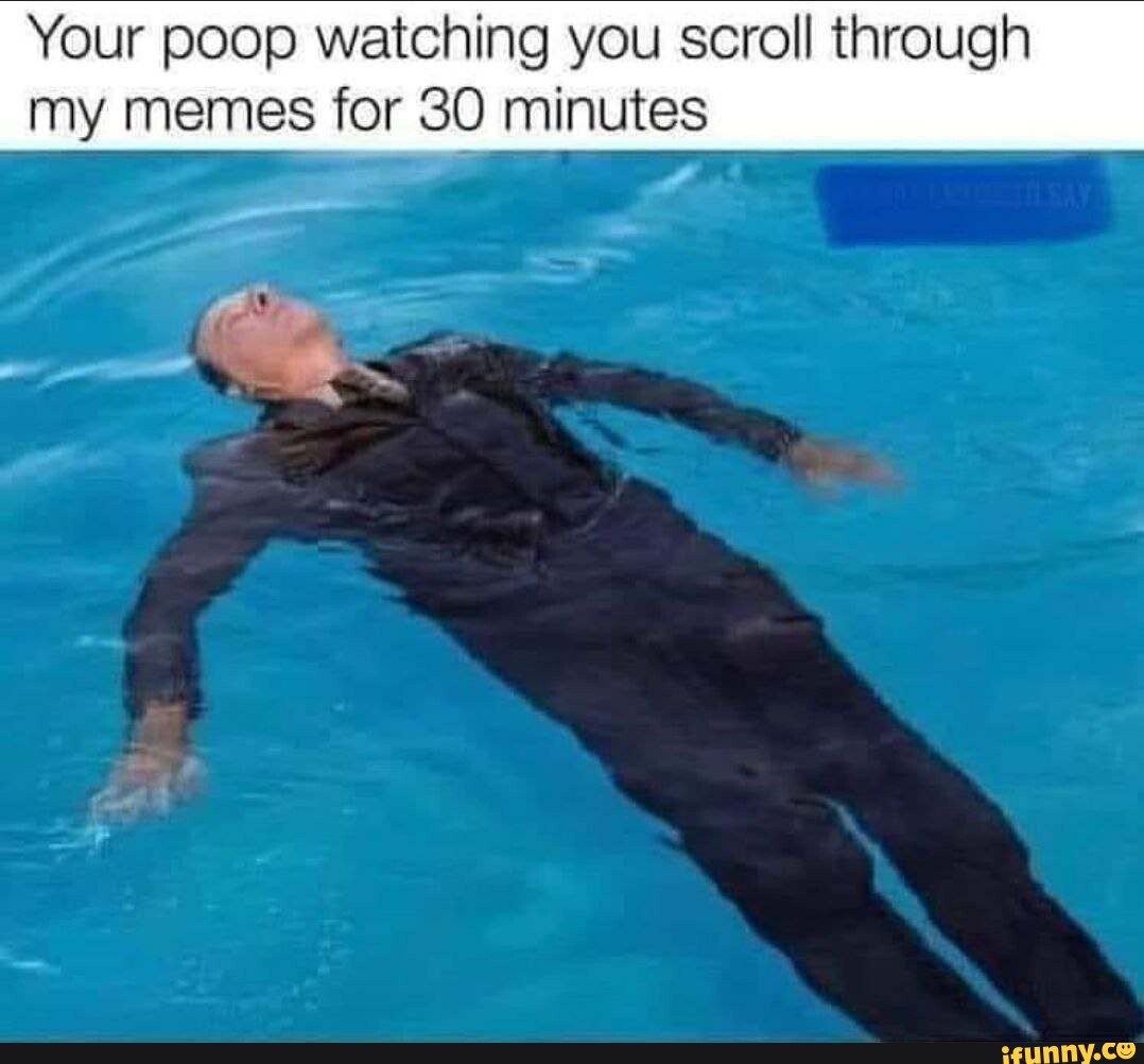 Your poop watching you scroll through my memes for 30 minutes - iFunny