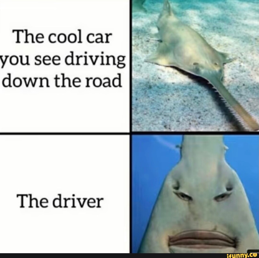 The cool car you see driving down the road The driver - iFunny