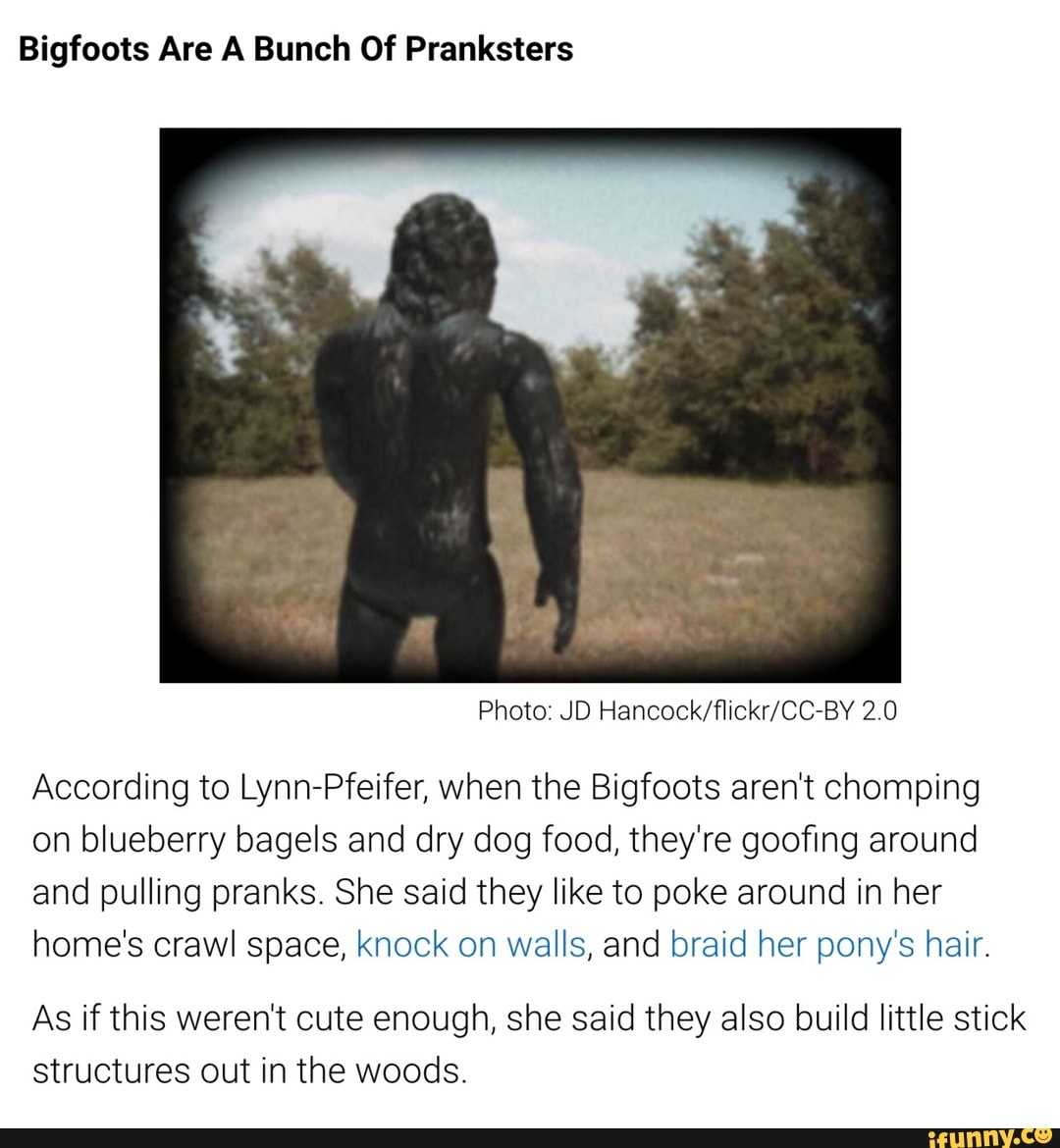 Pfeifer memes. Best Collection of funny Pfeifer pictures on iFunny