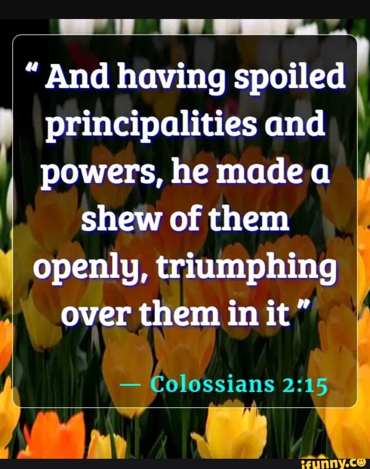 Shew memes. Best Collection of funny Shew pictures on iFunny