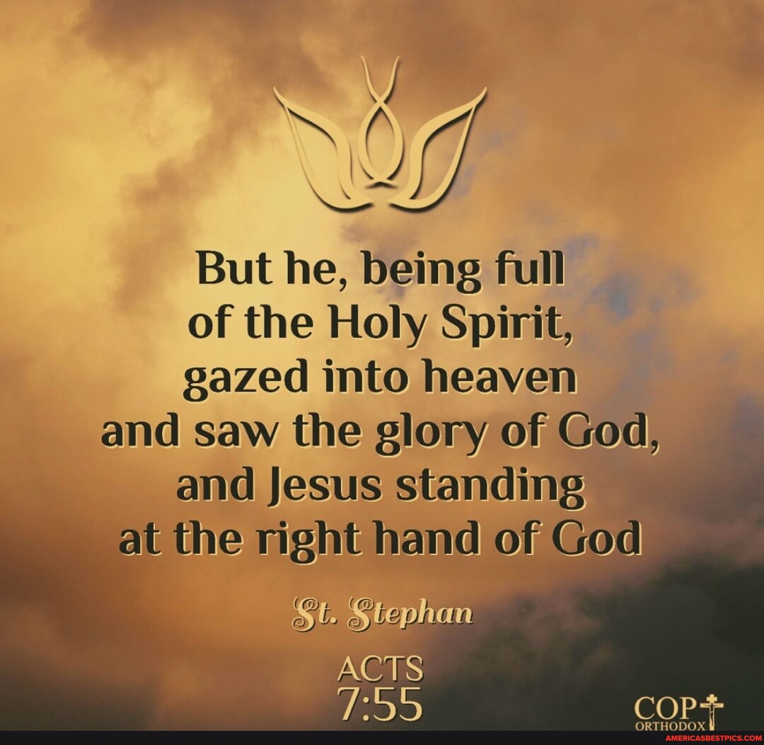 But he, being full of the Holy Spirit, gazed into heaven and saw the ...