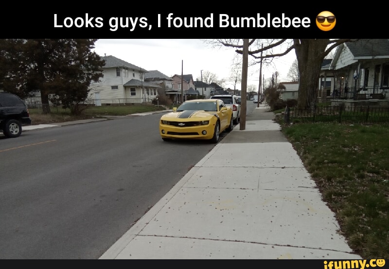 Bumblebee memes. Best Collection of funny Bumblebee pictures on iFunny