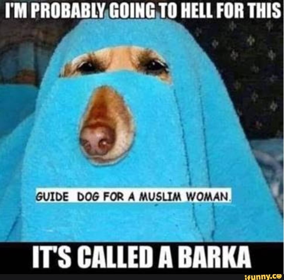 Barka memes. Best Collection of funny Barka pictures on iFunny