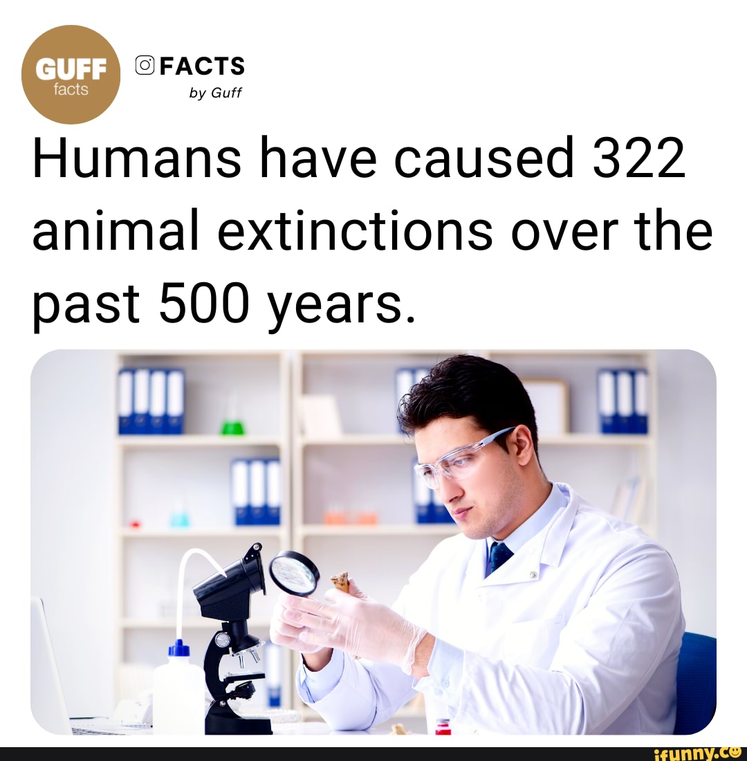 🧠for more, follow instagram.com/facts - FACTS by Guff Humans have ...