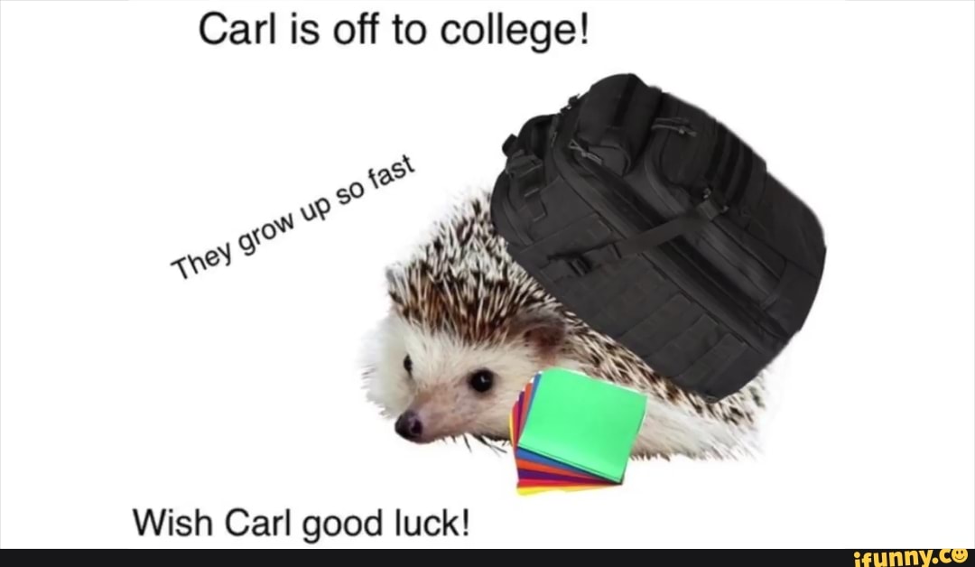 Carl is off to college! Wish Carl good luck! - iFunny