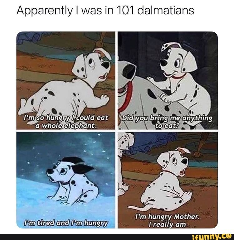 Dalmatians memes. Best Collection of funny Dalmatians pictures on iFunny