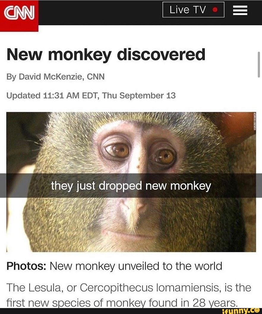 Live TV = New monkey discovered By David McKenzie, CNN Updated AM EDT ...