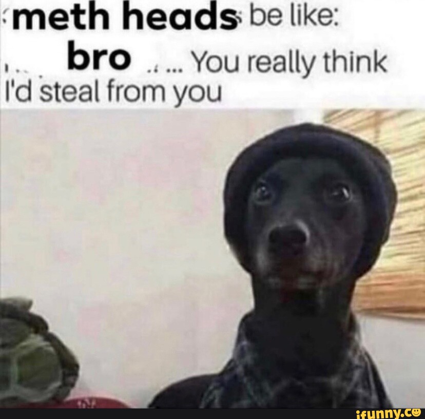 'meth heads De like: bro You really think I'd steal from you - iFunny