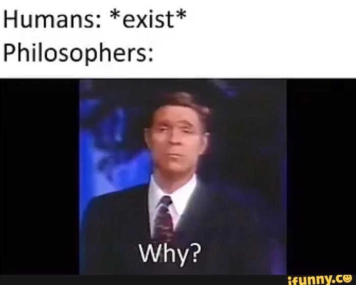Humans: *exist* Philosophers: Why? - iFunny