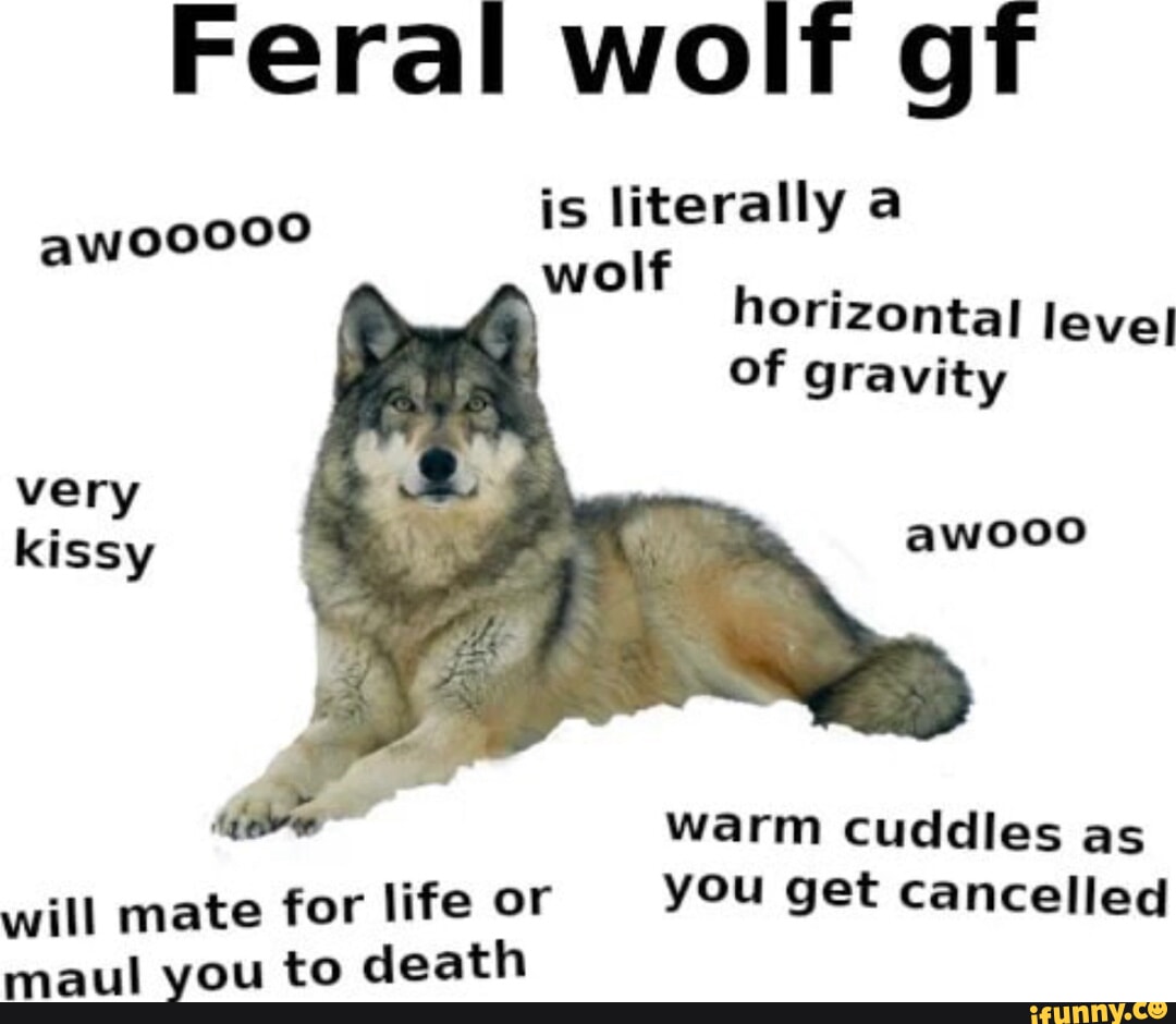 Horizontal memes. Best Collection of funny Horizontal pictures on iFunny